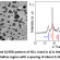Photosynthesis of Silver Nanoparticle – Carbon Quantum Dots ...