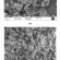 Antibacterial Properties of Scallop Shell Derived Calcium Hydroxide ...